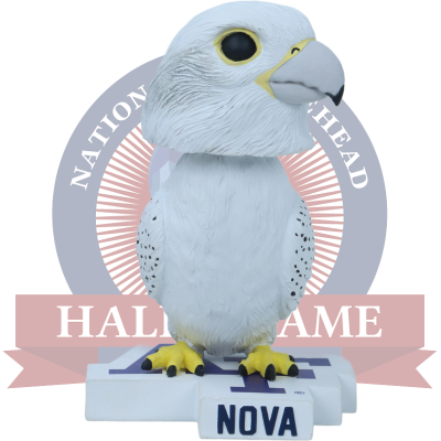 Nova Air Force Falcons Live Falcon Bobblehead – National Bobblehead HOF Store