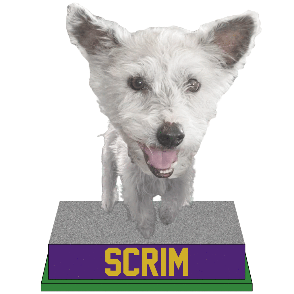 Scrim Bobblehead (Presale) – National Bobblehead HOF Store