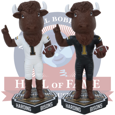 Harding Bisons Buff the Bison Mascot 2023 Division II Football Nationa ...