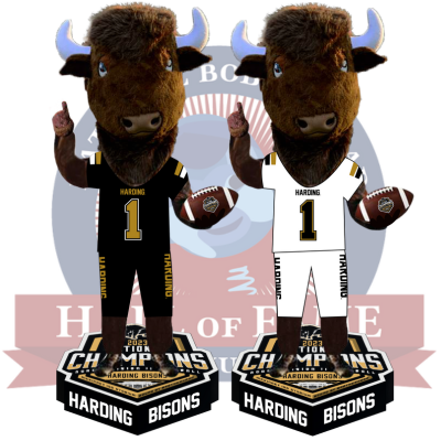 Harding Bisons Buff the Bison Mascot 2023 Division II Football Nationa ...