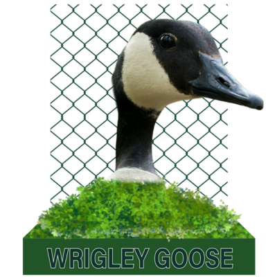 Wrigley Goose Bobblehead (Presale) – National Bobblehead HOF Store