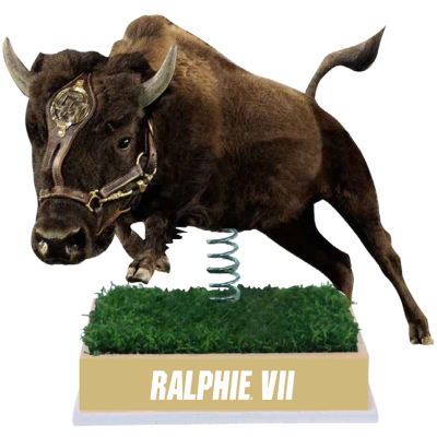 Ralphie VII Colorado Buffaloes Live Mascot Bobblehead (Presale ...