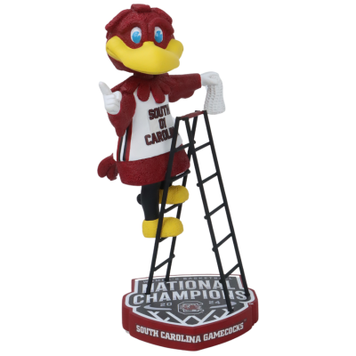 South Carolina Gamecocks 2024 NCAA Women's Basketball National Champio ...